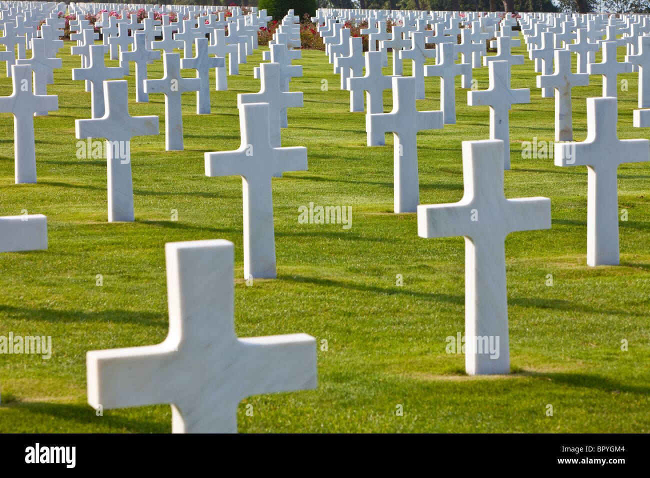 Rows of white crosses at the World War 2 American Cemetery, Colleville ...