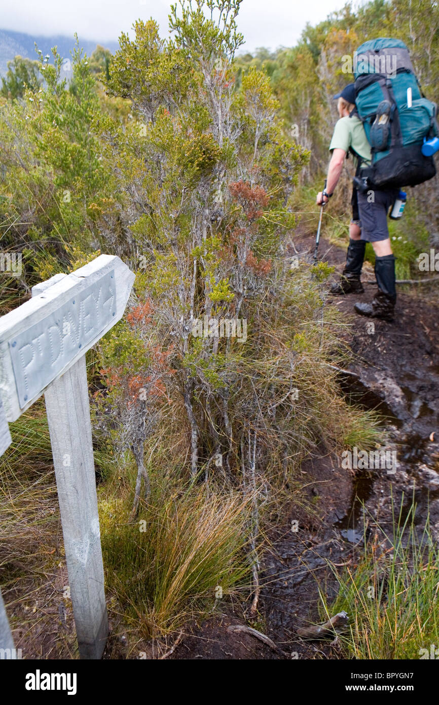 Port davey tasmania walk hi-res stock photography and images - Alamy