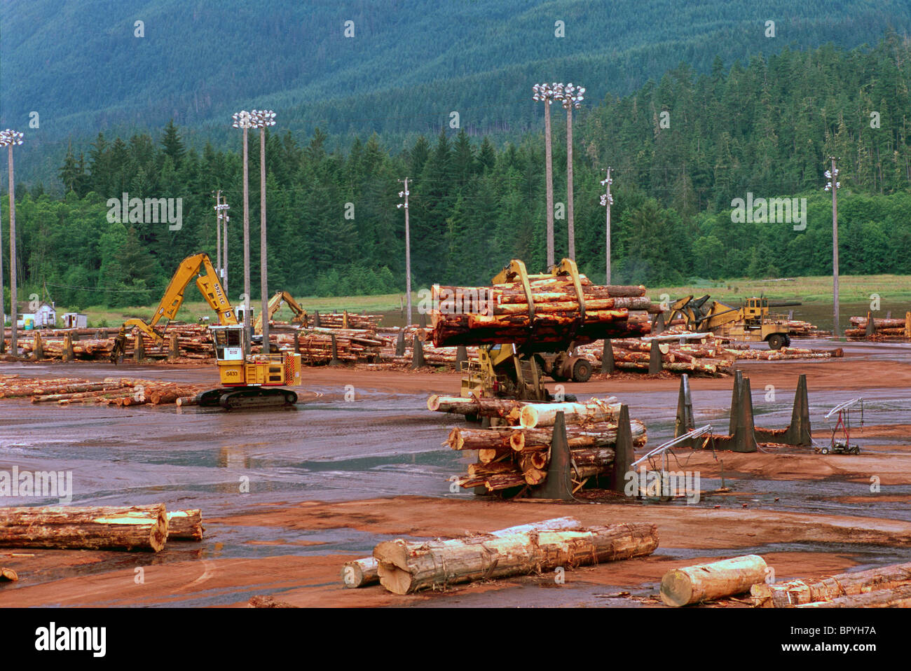 Beaver Cove Log Sort Yard near Telegraph Cove, BC, Vancouver Island ...