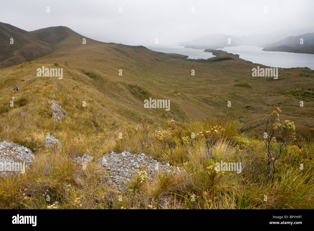 Bushwalkers on the Port Davey Track above Bathurst Harbour Stock Photo ...