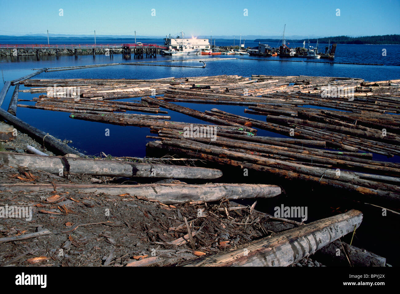 Log Boom, Haida Gwaii (Queen Charlotte Islands), BC, British Columbia ...