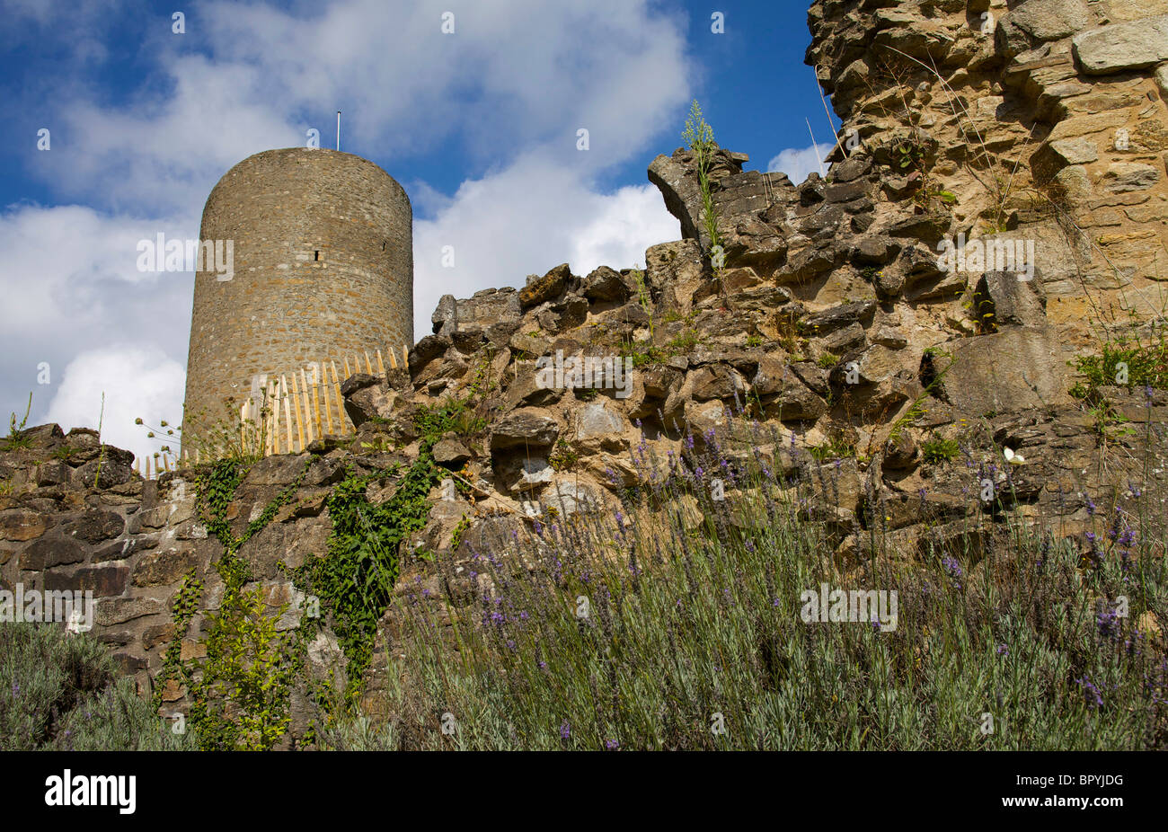 Ruins of the castle at Chalus near Limoges in France where Richard the ...