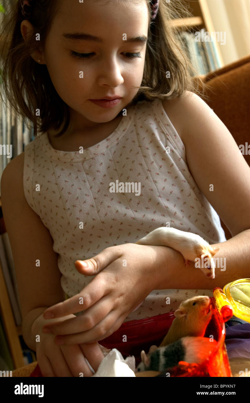 Only a mouse hi-res stock photography and images - Alamy