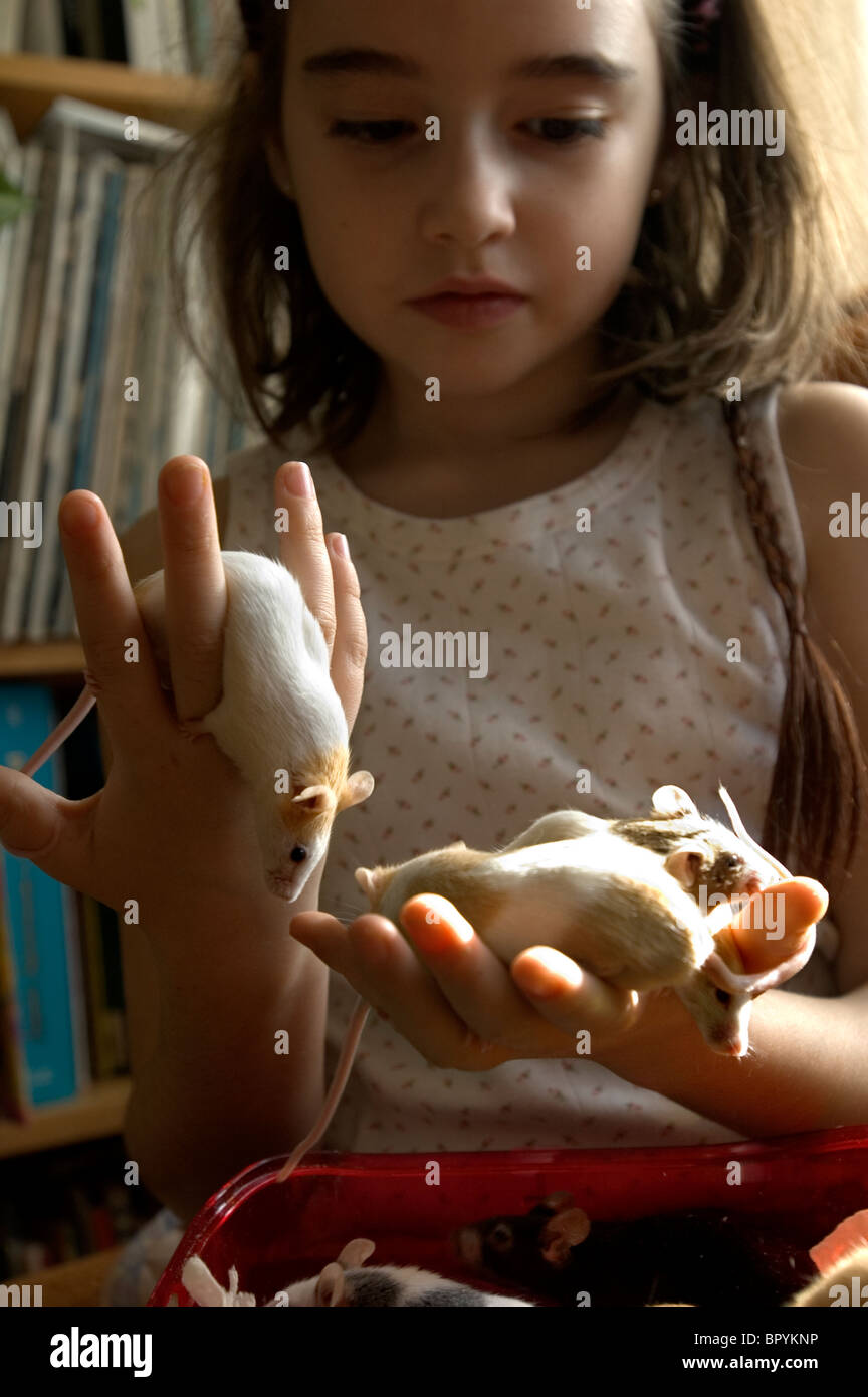 A young girl plays with her pet mice Stock Photo - Alamy
