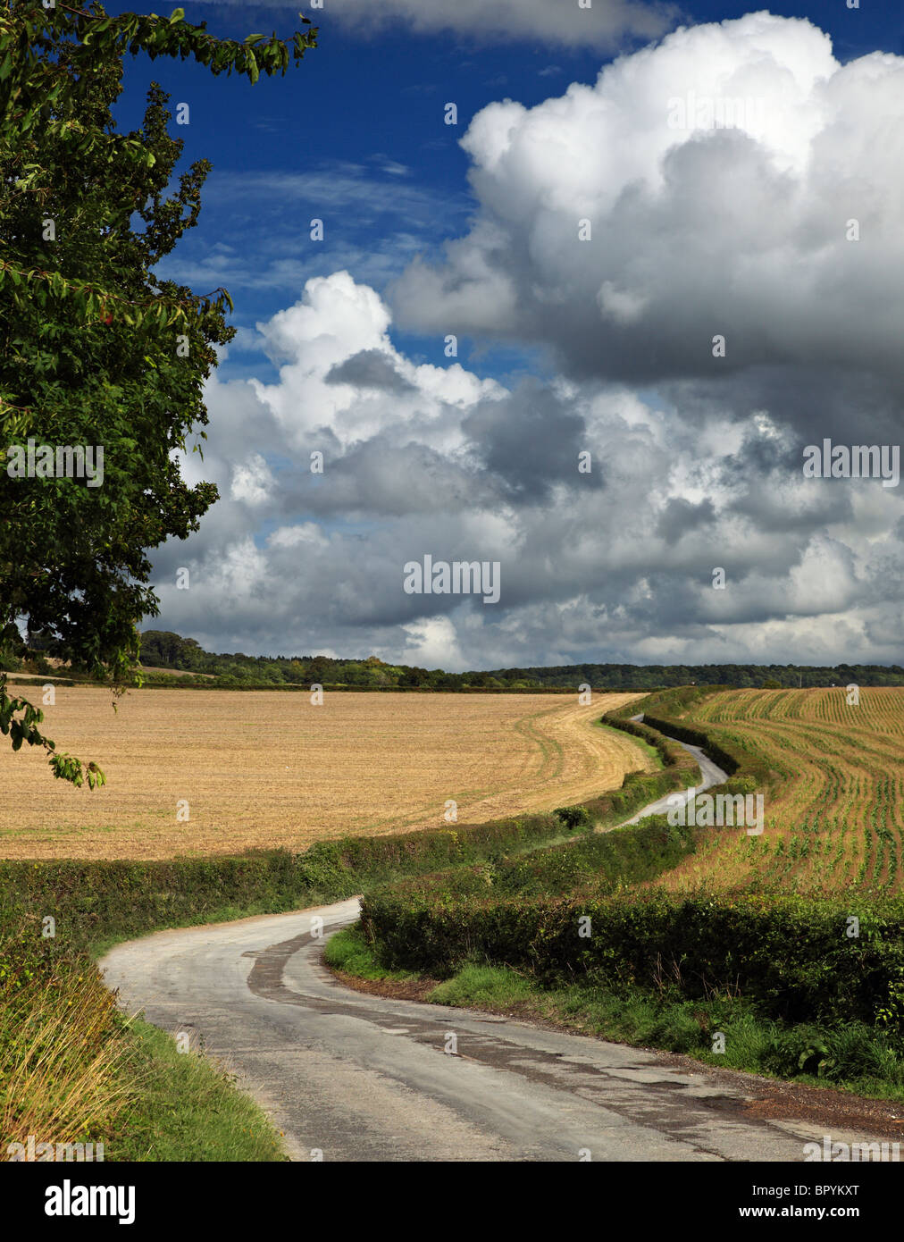 The north downs way kent hi-res stock photography and images - Alamy