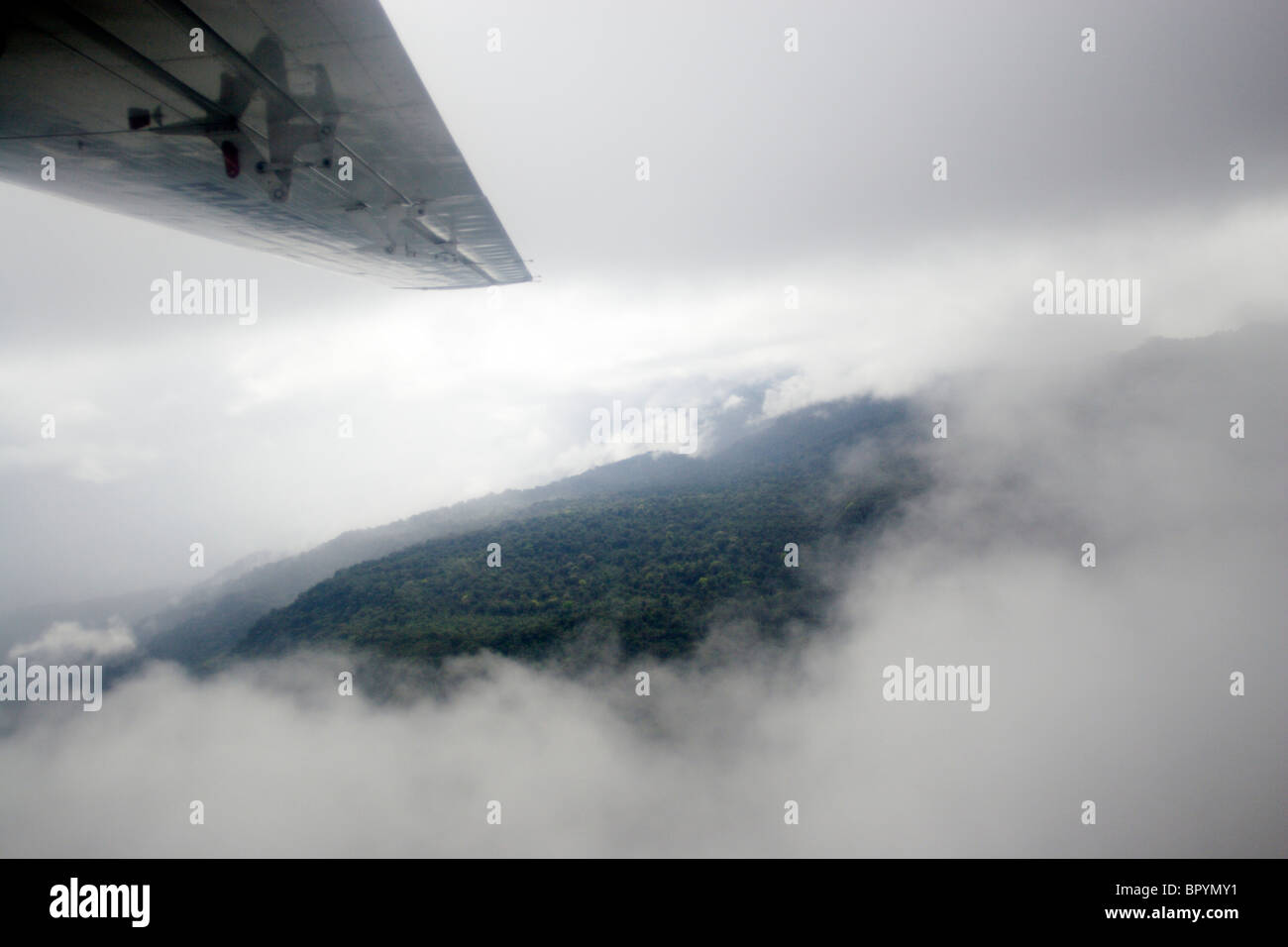 Choco rainforest colombia hi-res stock photography and images - Alamy