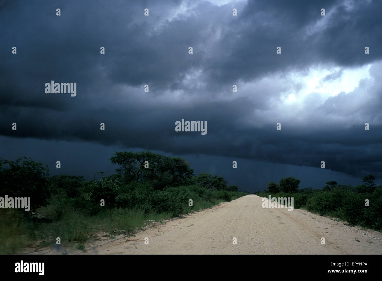 Bushmanland hi-res stock photography and images - Alamy