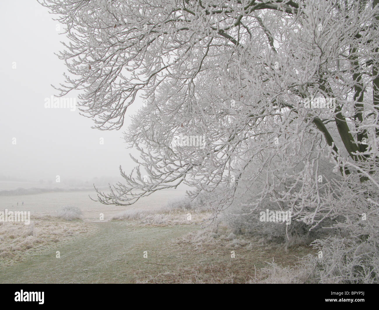 Wittenham clumps hi-res stock photography and images - Alamy