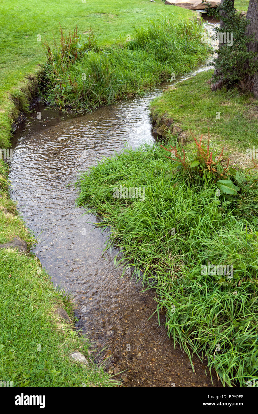 River Misbourne is a Chiltern chalk stream, this stretch flows through ...