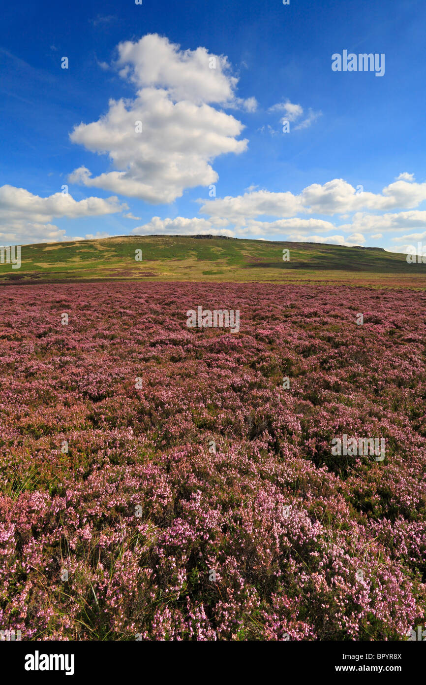 Stanage edge derbyshire peak district hi-res stock photography and ...