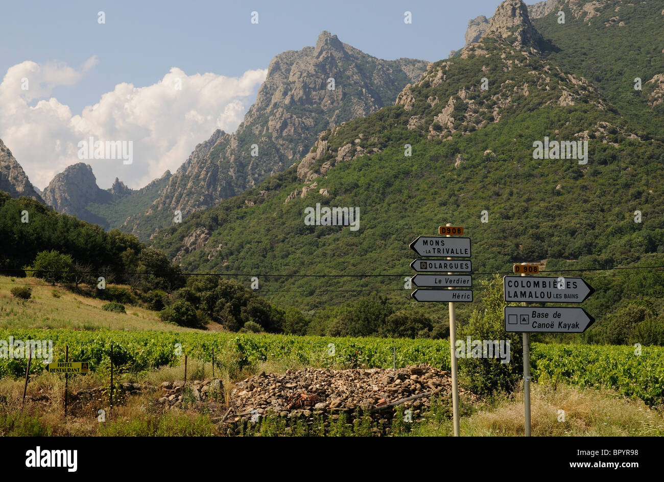 St chinian vines hi-res stock photography and images - Alamy