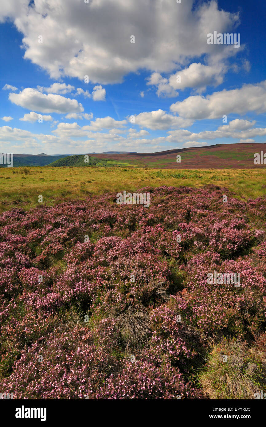Derwent edge derbyshire hi-res stock photography and images - Alamy