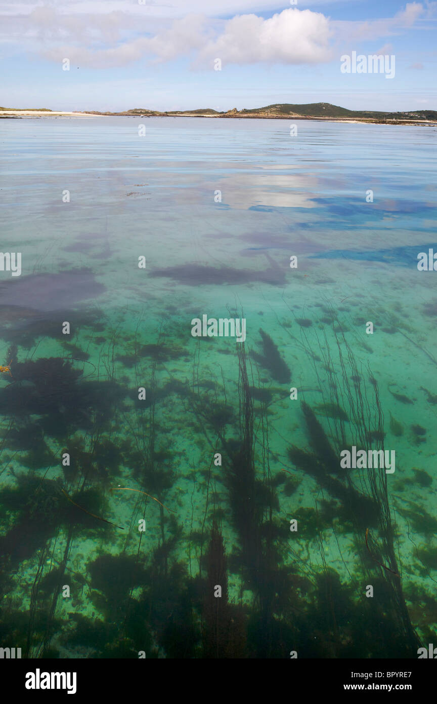 Clear the chamber hi-res stock photography and images - Alamy