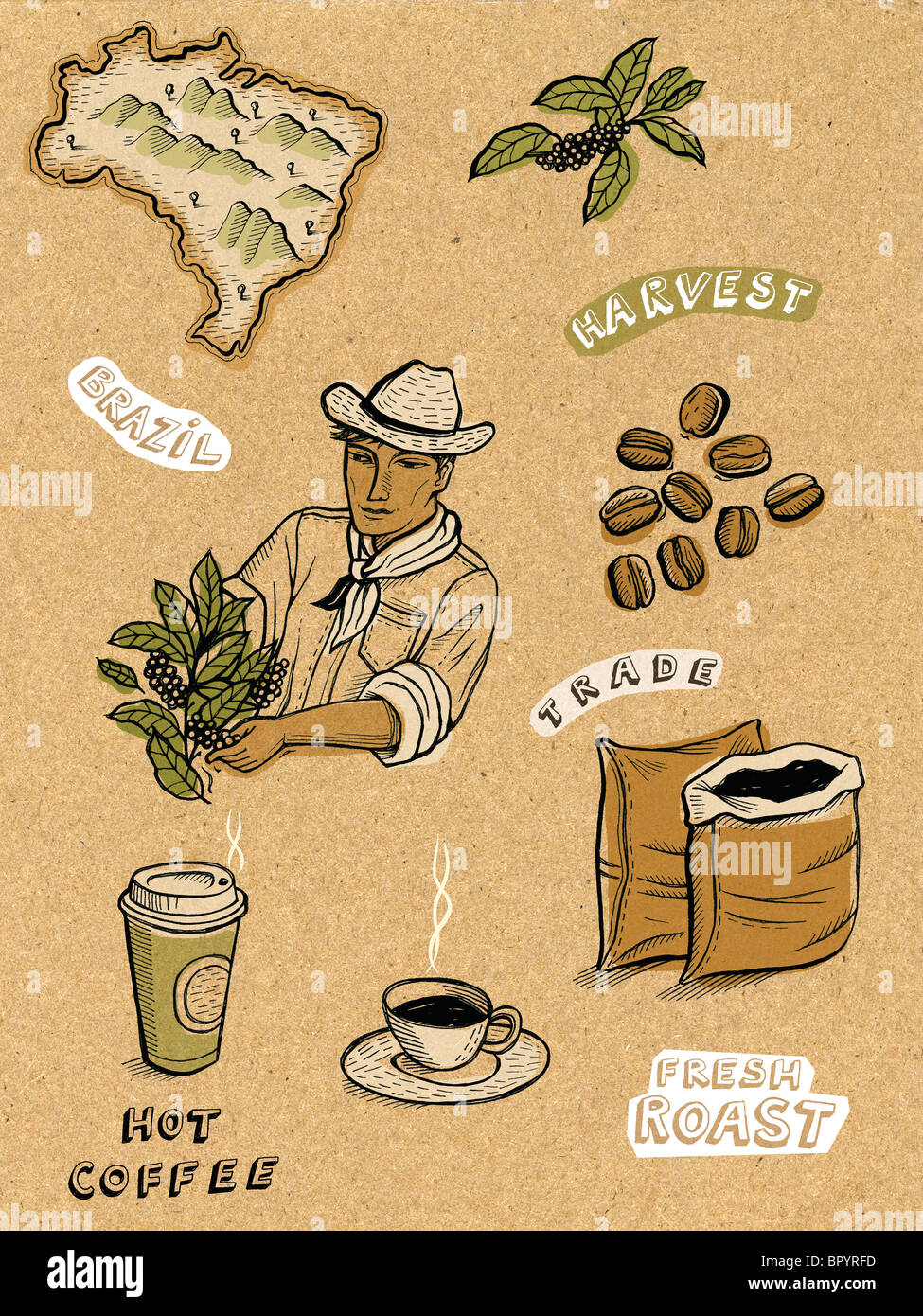 Illustration of Brazilian coffee showing a coffee grower, coffee beans ...