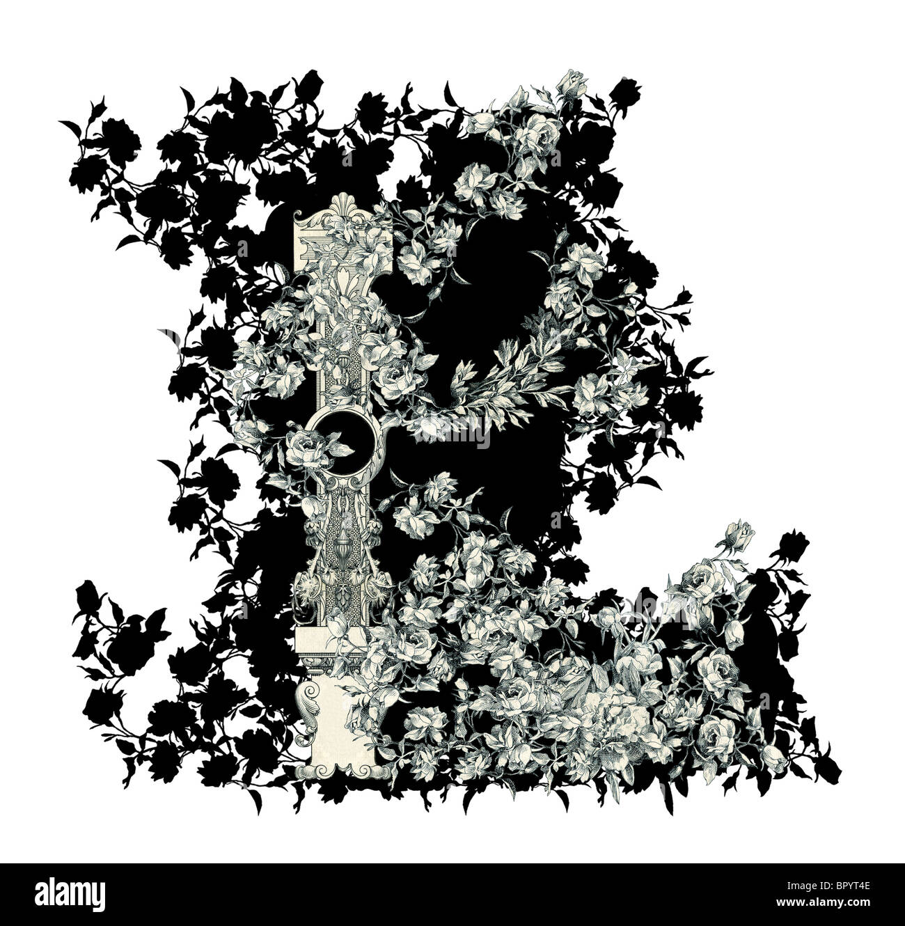 Luxuriously illustrated old capital letter E with flowers Stock Photo ...