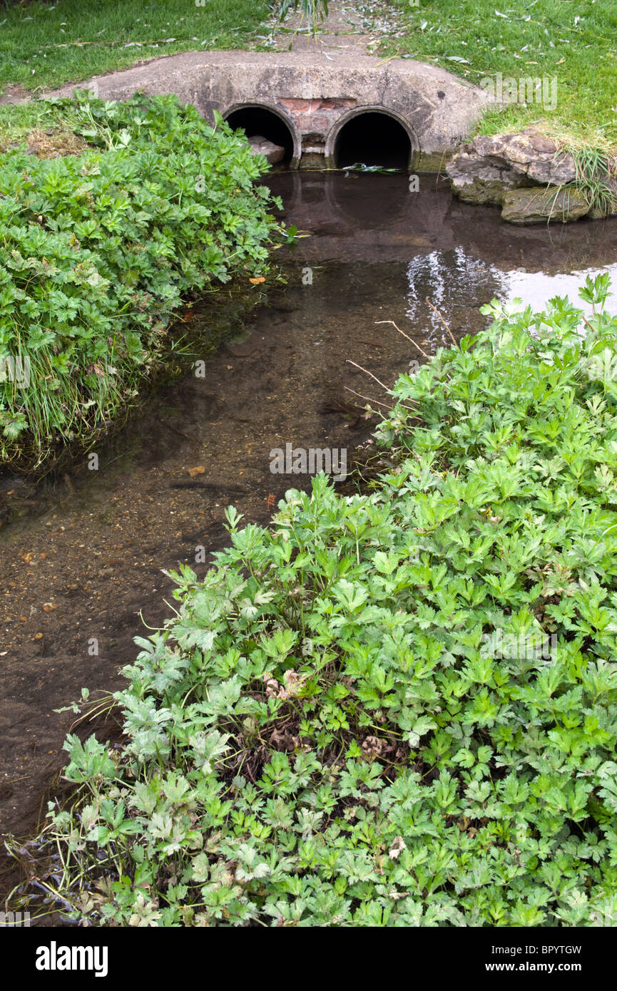 River Misbourne is a Chiltern chalk stream, this stretch flows through ...