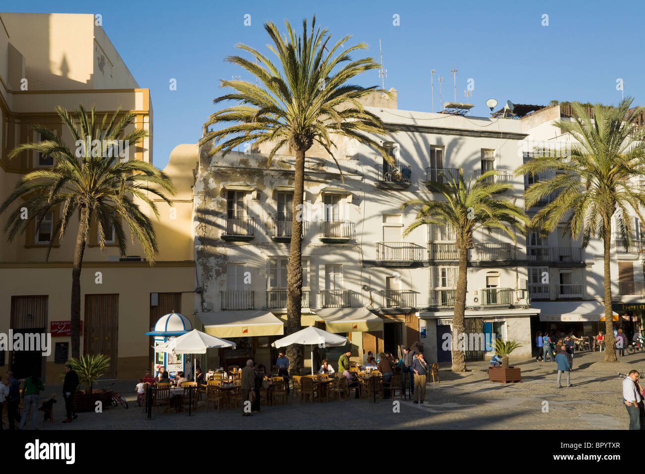 Typical street scene in Cadiz, with white washed buildings, palm trees ...