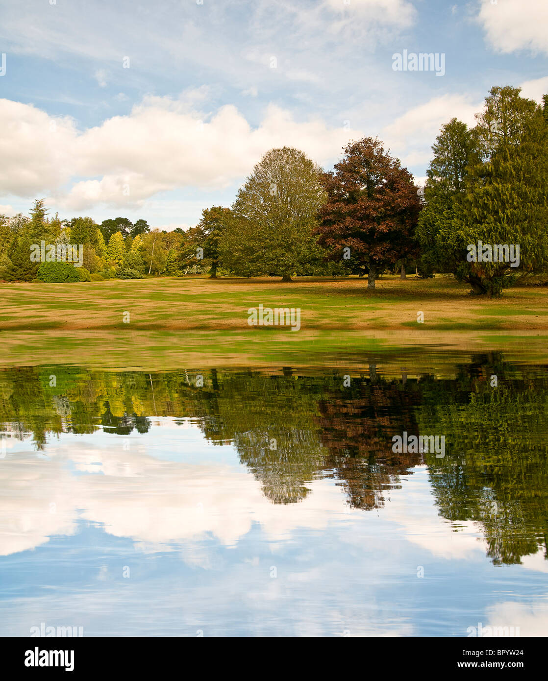 Gold Lake High Resolution Stock Photography and Images - Alamy