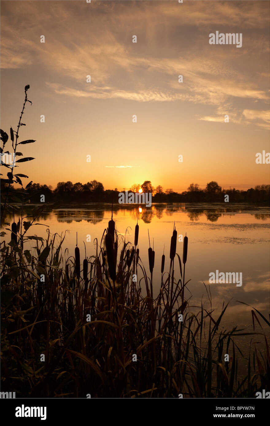 Bulrushes reeds lake hi-res stock photography and images - Alamy