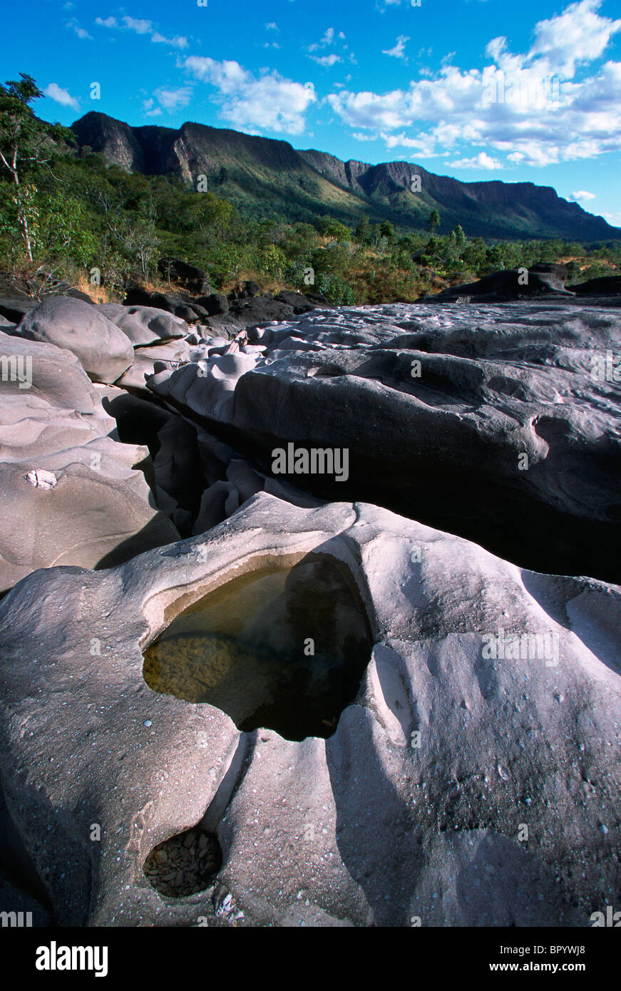 Cerrado Ecosystem, Brazil Stock Photo - Alamy