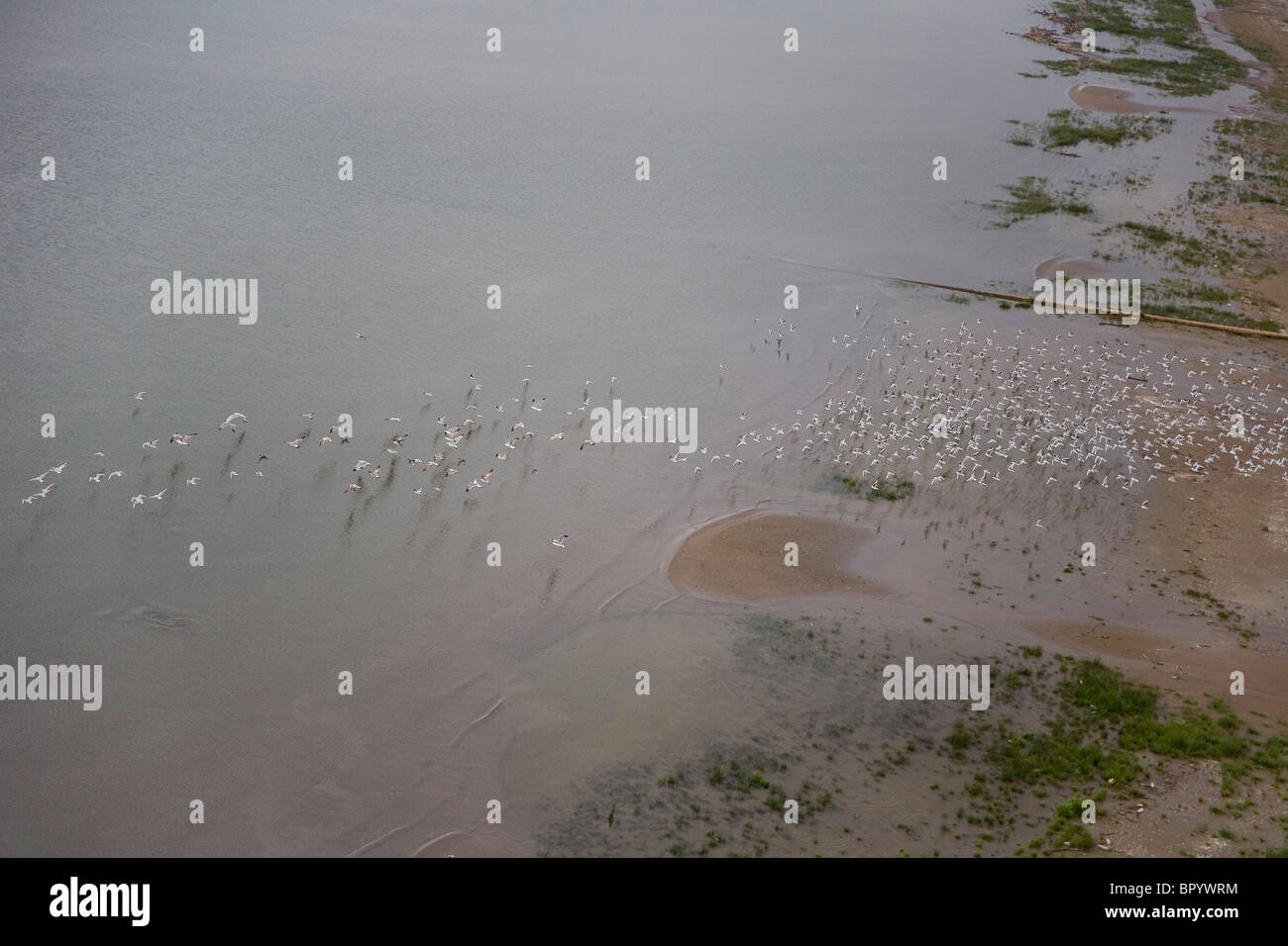 Galilee basin hi-res stock photography and images - Alamy