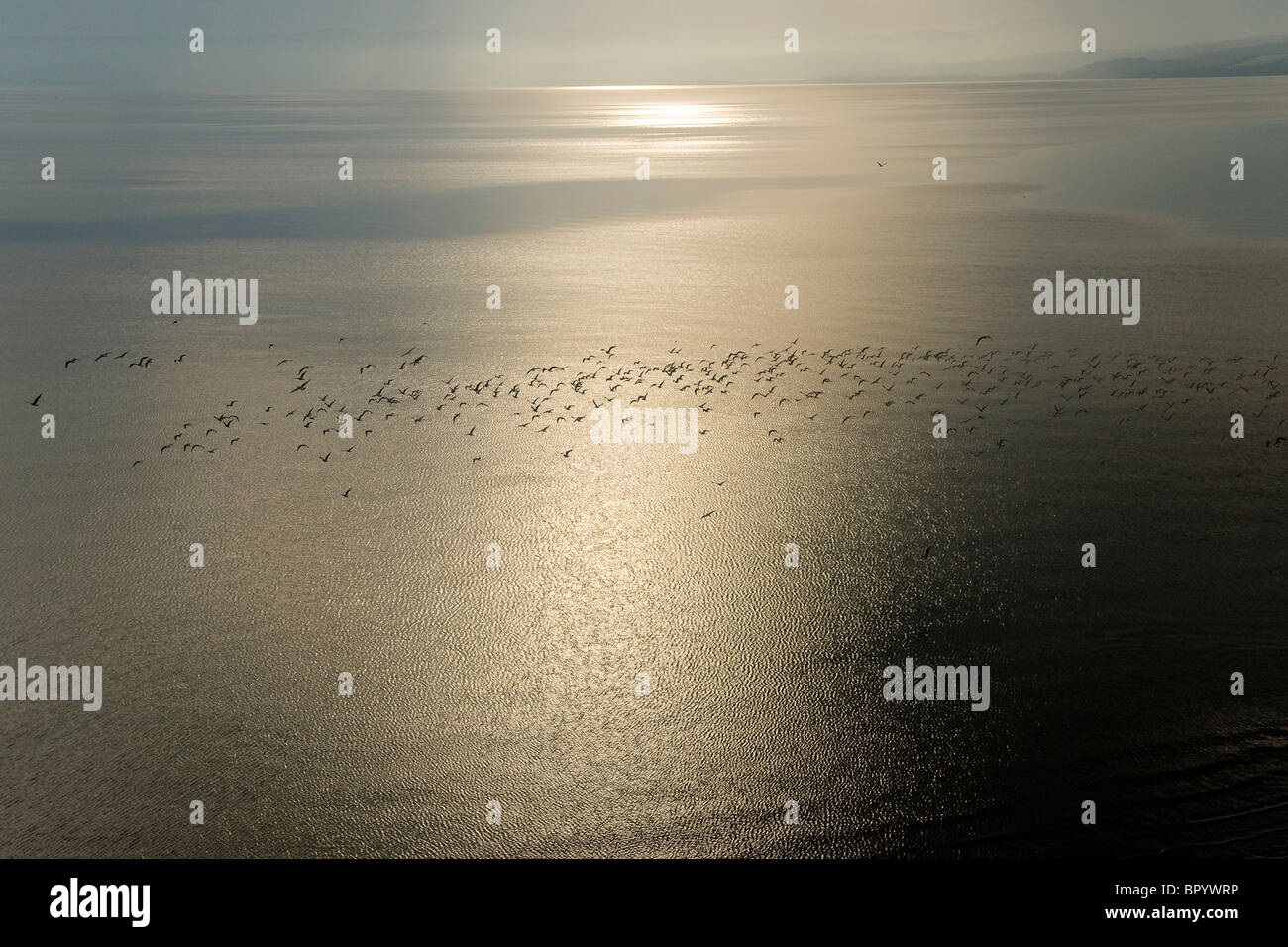 Galilee basin hi-res stock photography and images - Alamy