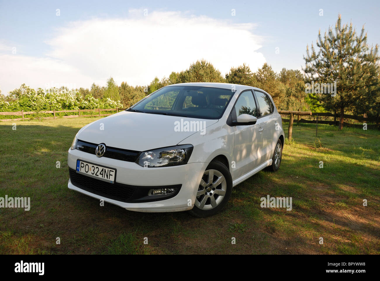 Volkswagen Polo 1.2 TDI BlueMotion - MY 2010 - white - German popular ...