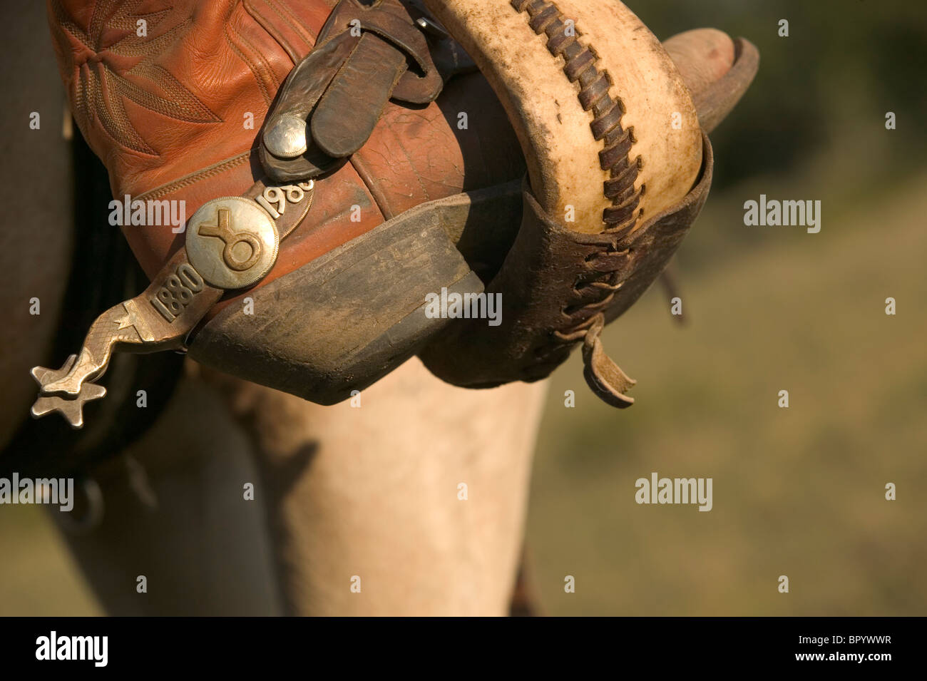 Horse spur hi-res stock photography and images - Alamy