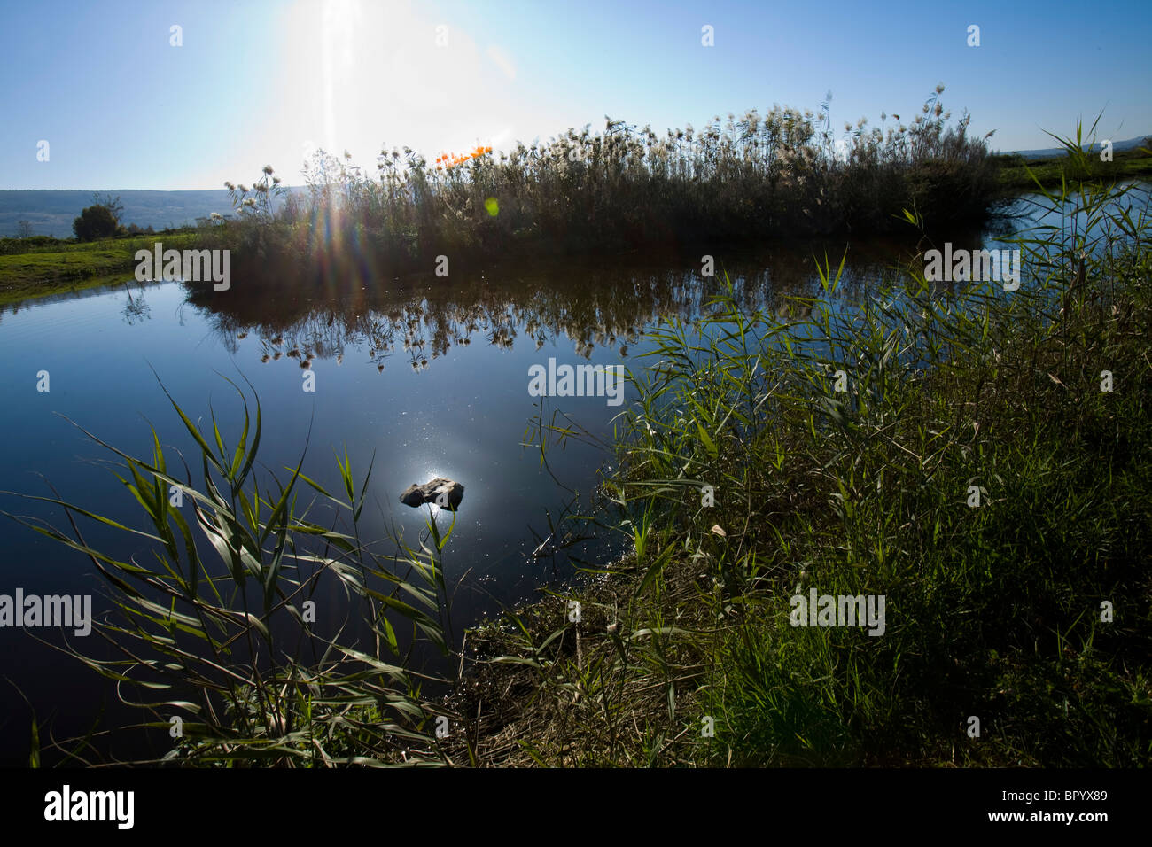 Photograph of the Chula pond in the Upper Galilee Stock Photo - Alamy