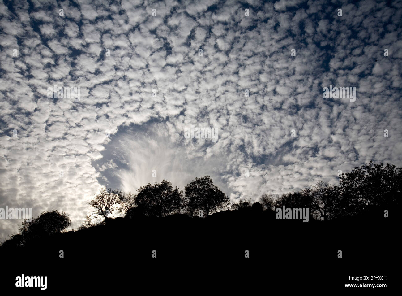 Ground to sky view hi-res stock photography and images - Alamy
