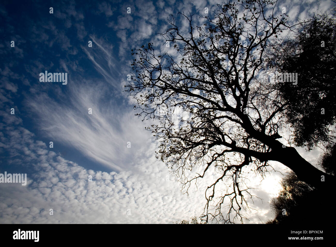 Abstract sky art hi-res stock photography and images - Alamy