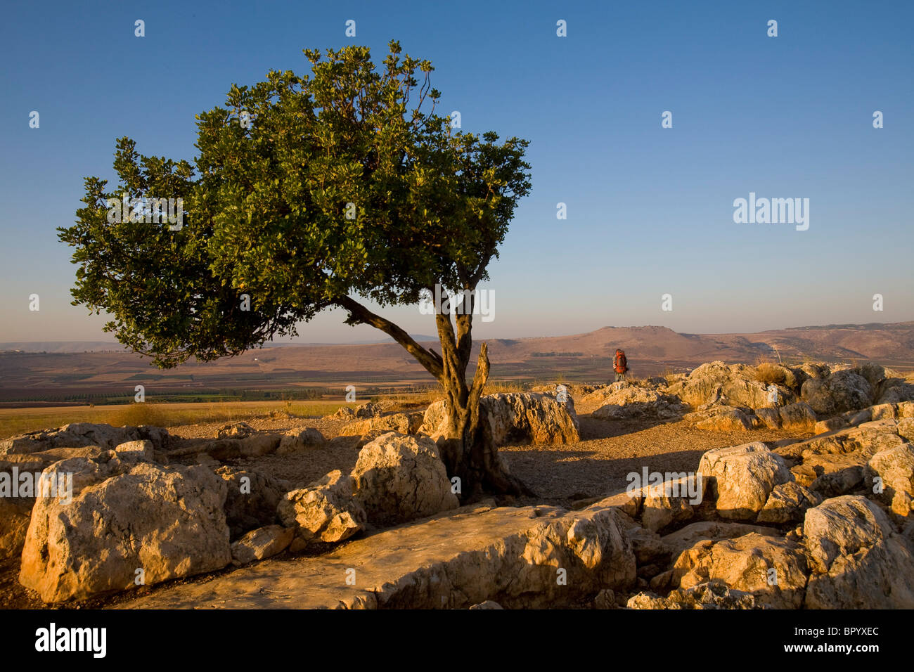 Photograph of the summit of mount Arbel in the Galilee Stock Photo - Alamy