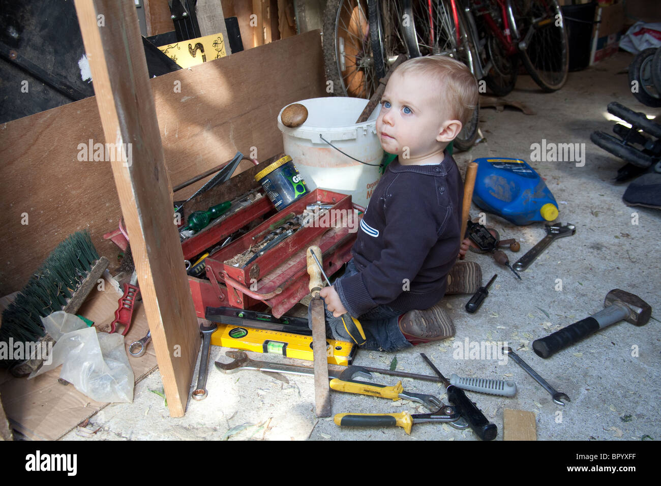 Baby boy ( eighteen months old ) Toddler playing with a tool box ...