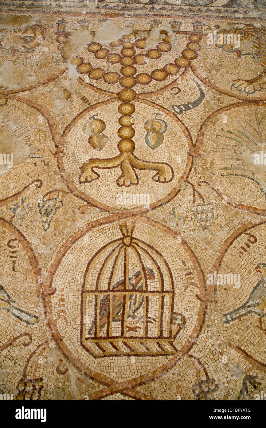 Photograph of a mosaic floor in the ancient synagogue of Ma'on Nirim in ...