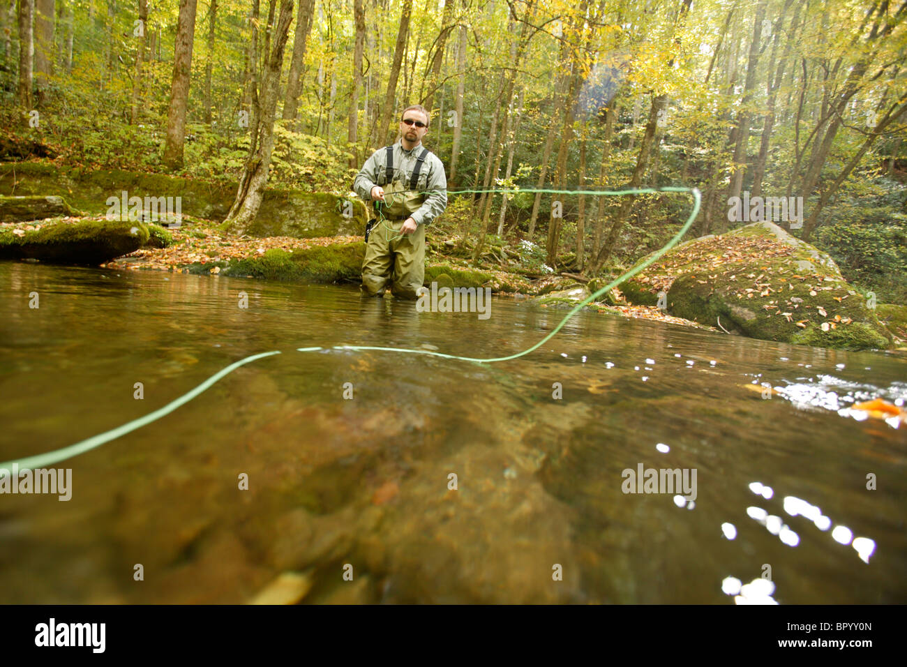 Male fly-fisherman under fall colors in the Great Smoky Mountains ...