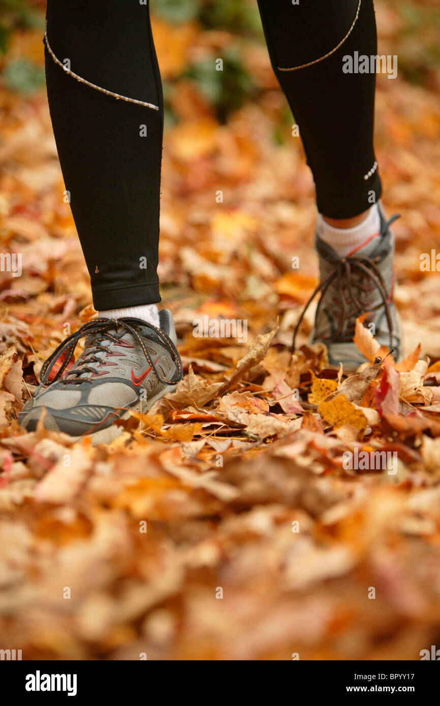 Boogerman trail hi-res stock photography and images - Alamy