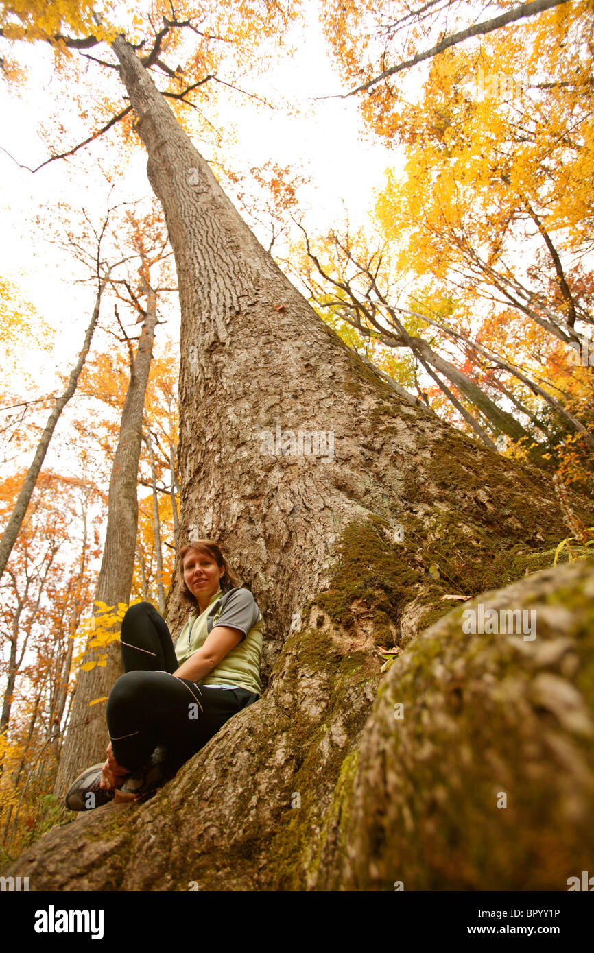 Boogerman trail hi-res stock photography and images - Alamy