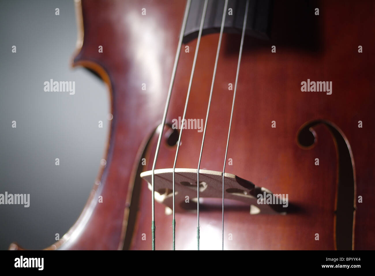 Cello bridge detail closeup hi-res stock photography and images - Alamy