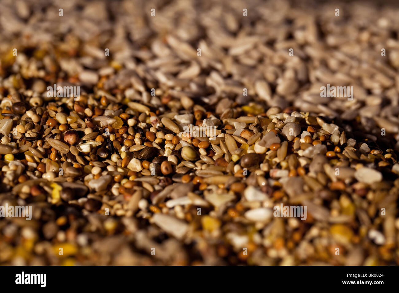 Mixed seed feeder hi-res stock photography and images - Alamy