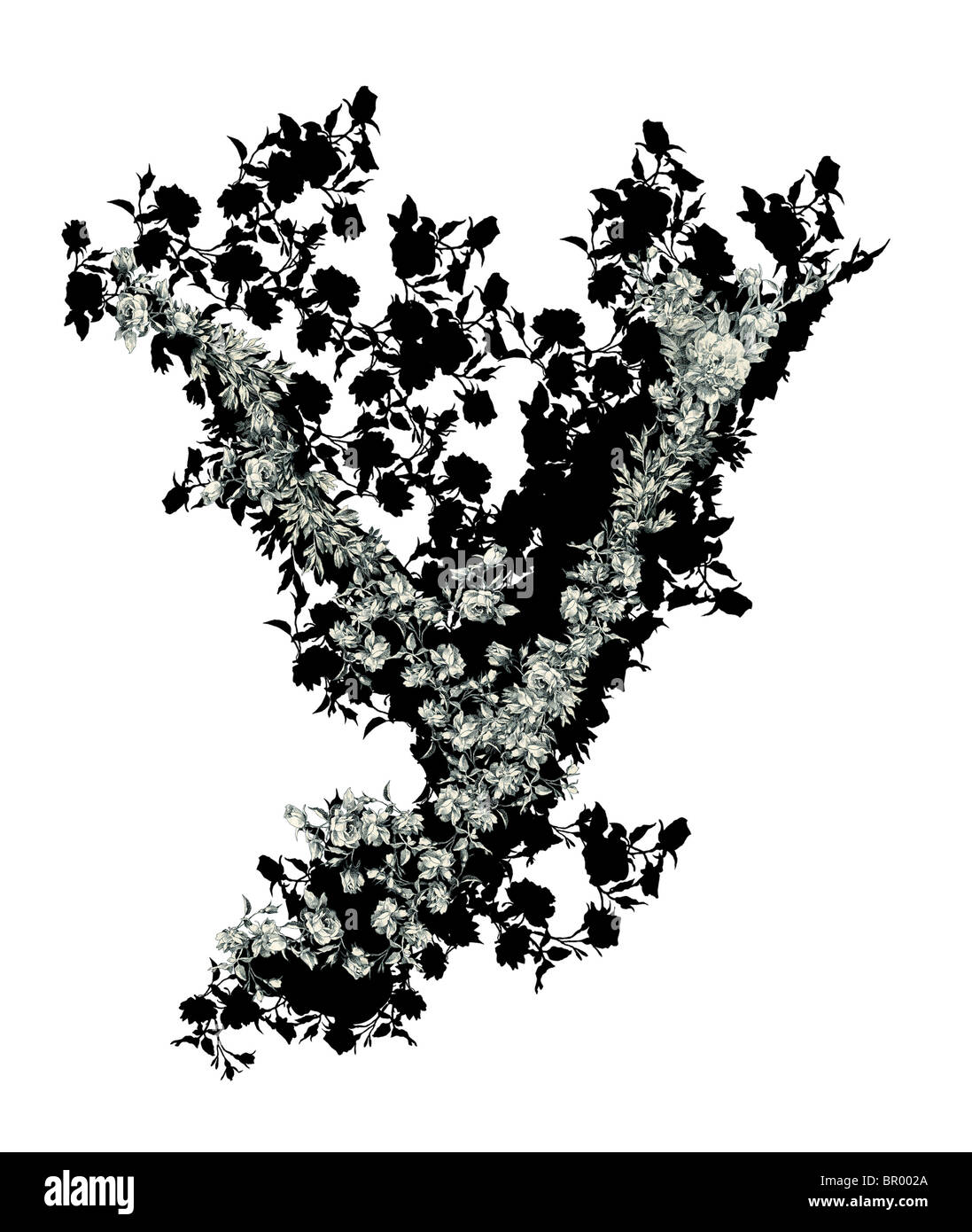 Luxuriously illustrated old capital letter Y with flowers Stock Photo ...