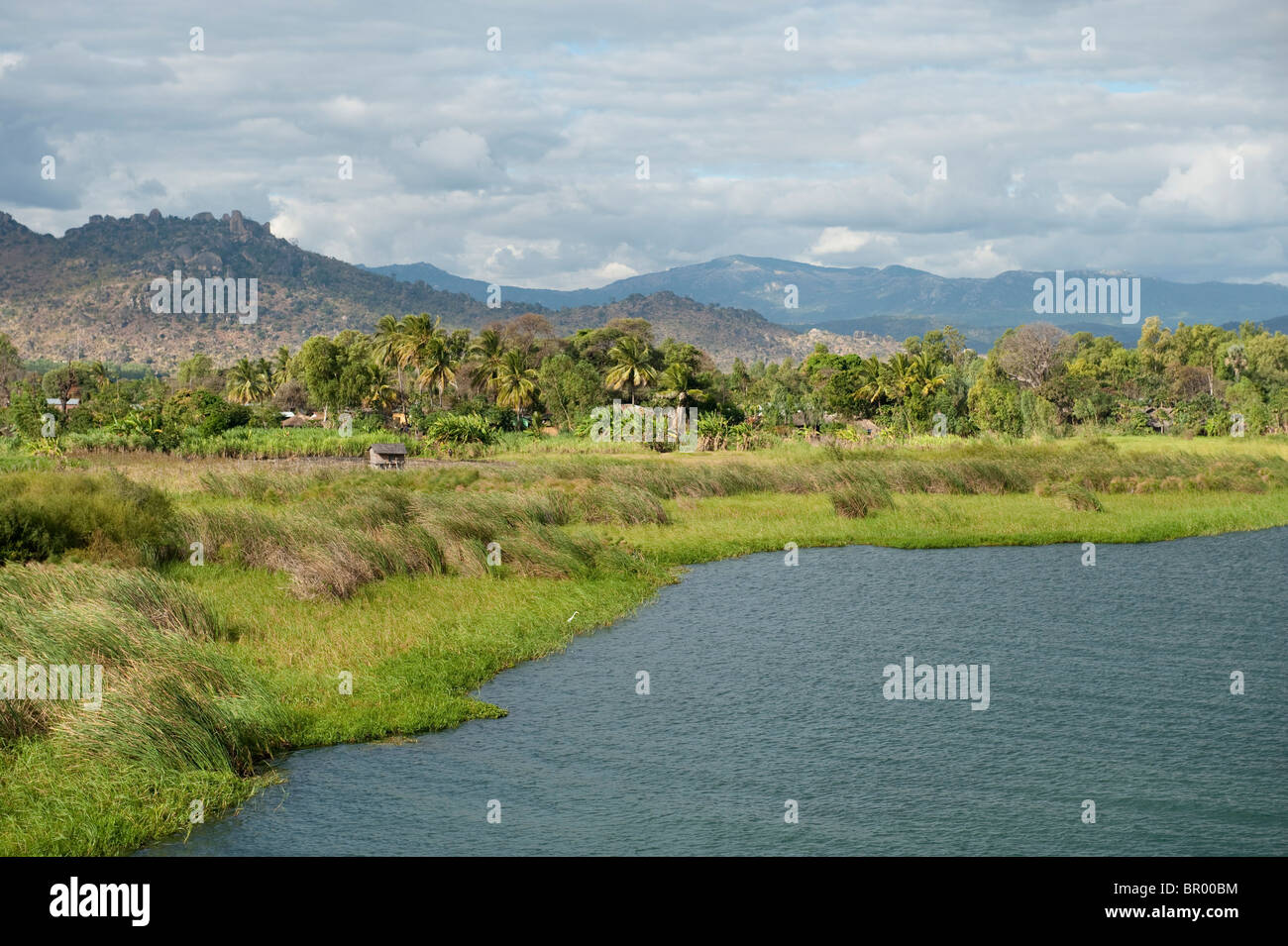 Shire river malawi hi-res stock photography and images - Alamy