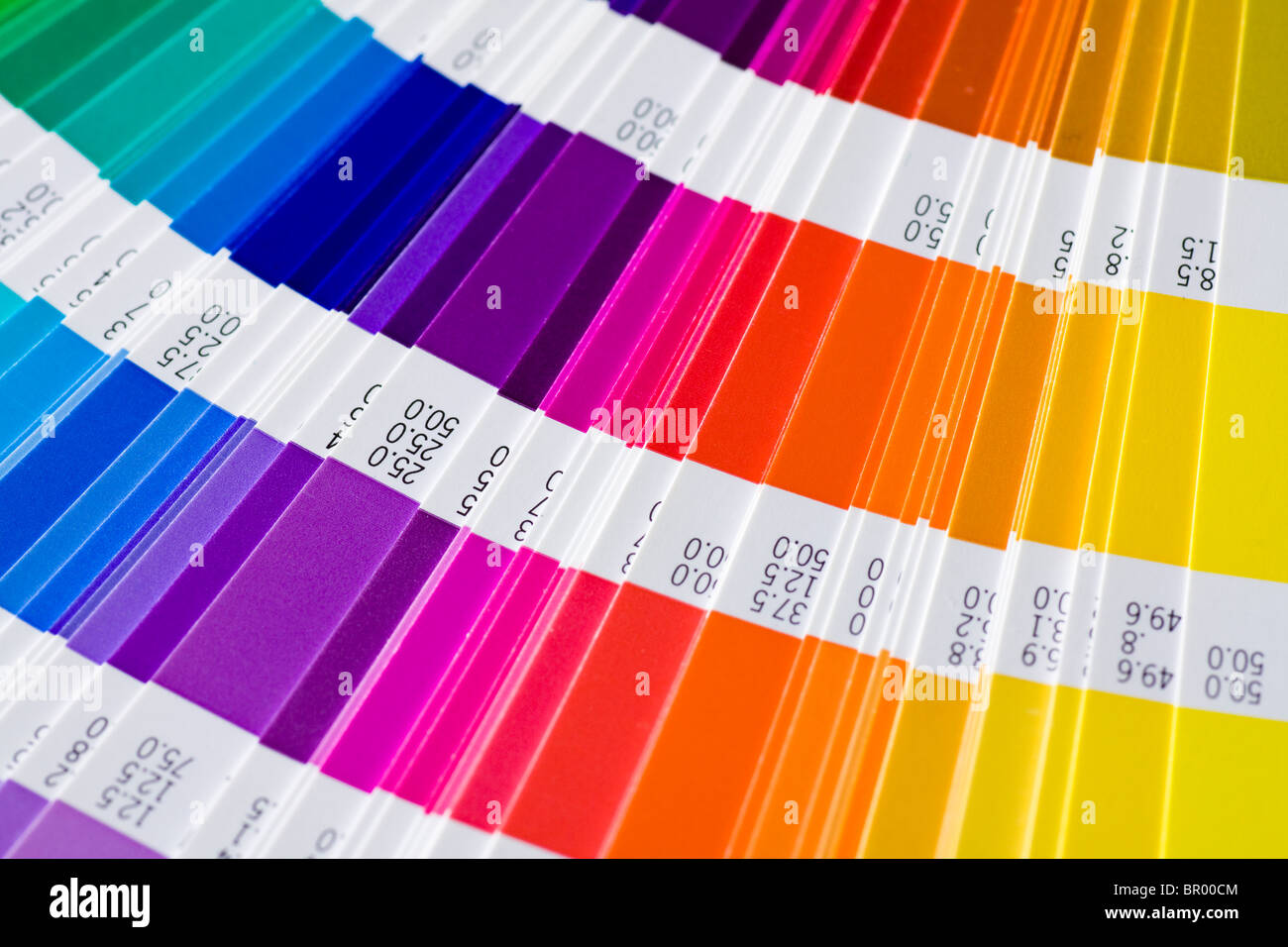 Www Pantone Color Chart Gallery Free Any Chart Examples