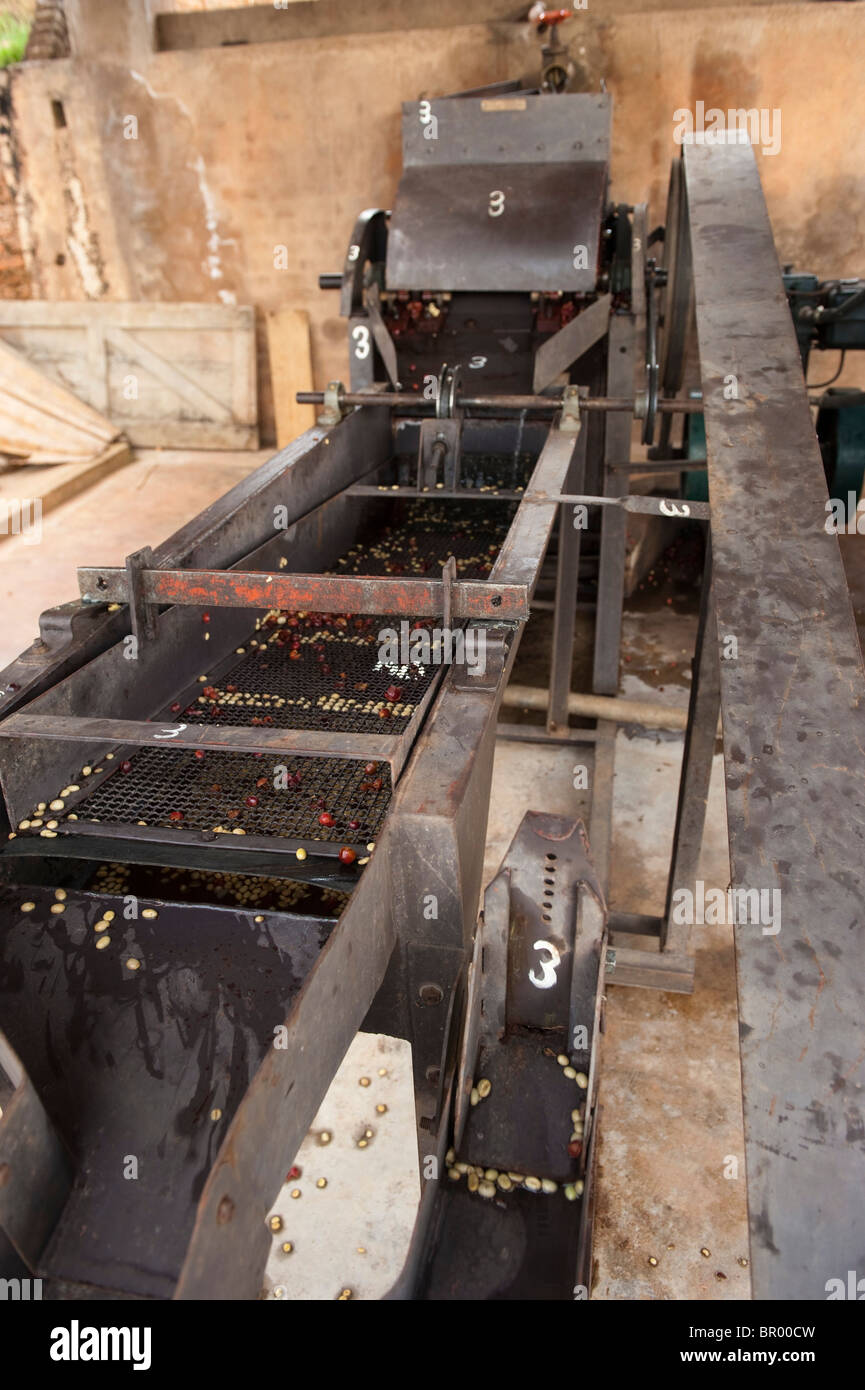 Coffee station, Misuku Hills, Malawi Stock Photo - Alamy