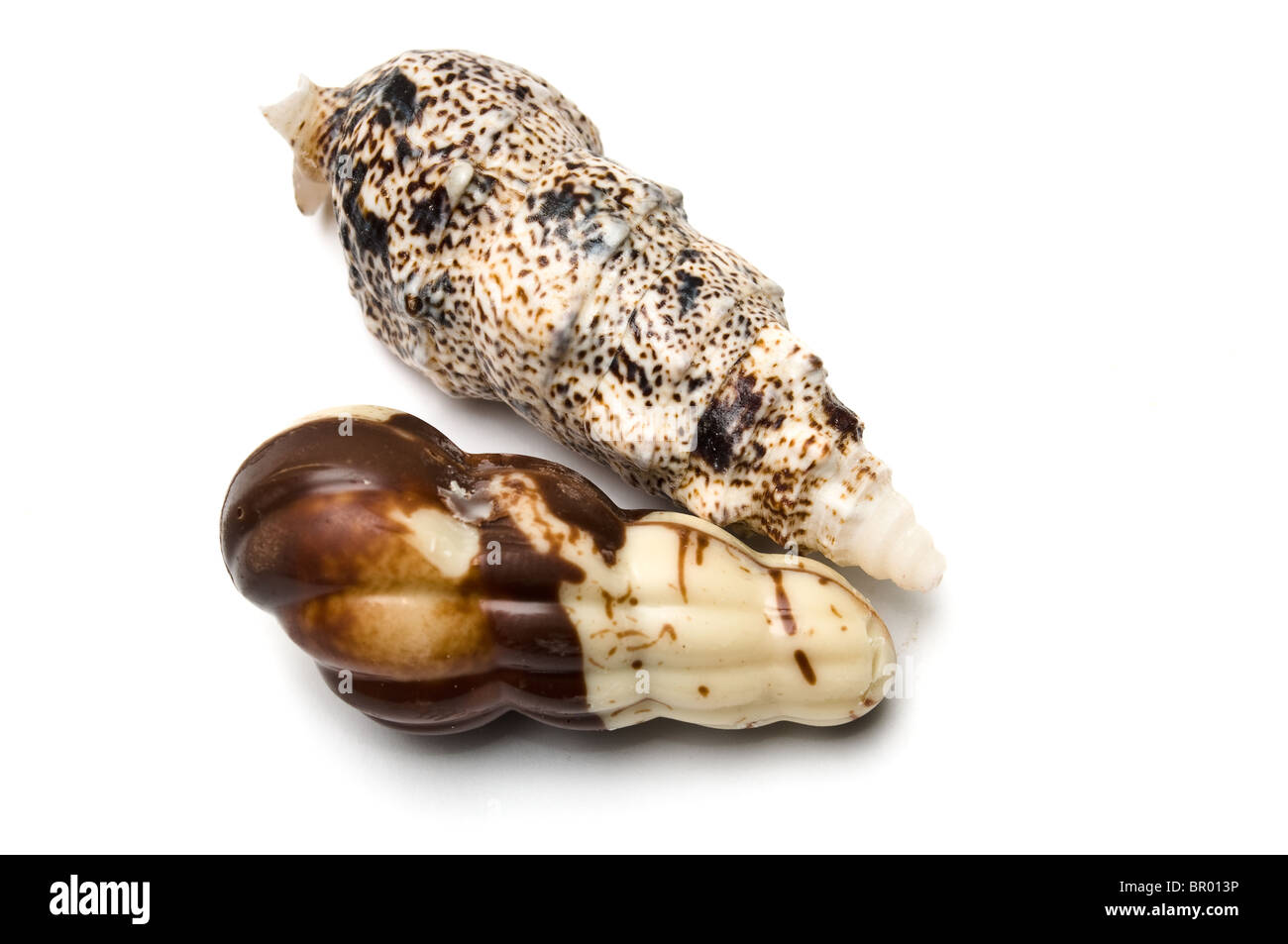 Two chocolate periwinkles isolated on white background Stock Photo - Alamy