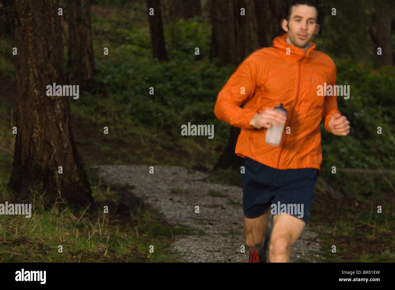 A man running on trail in Golden Gardens, Seattle Stock Photo - Alamy