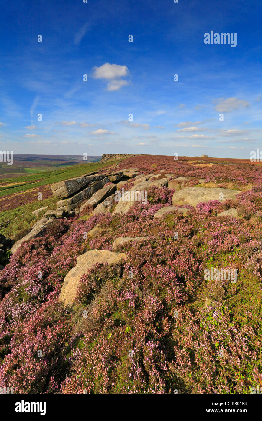Heather border edge hi-res stock photography and images - Alamy