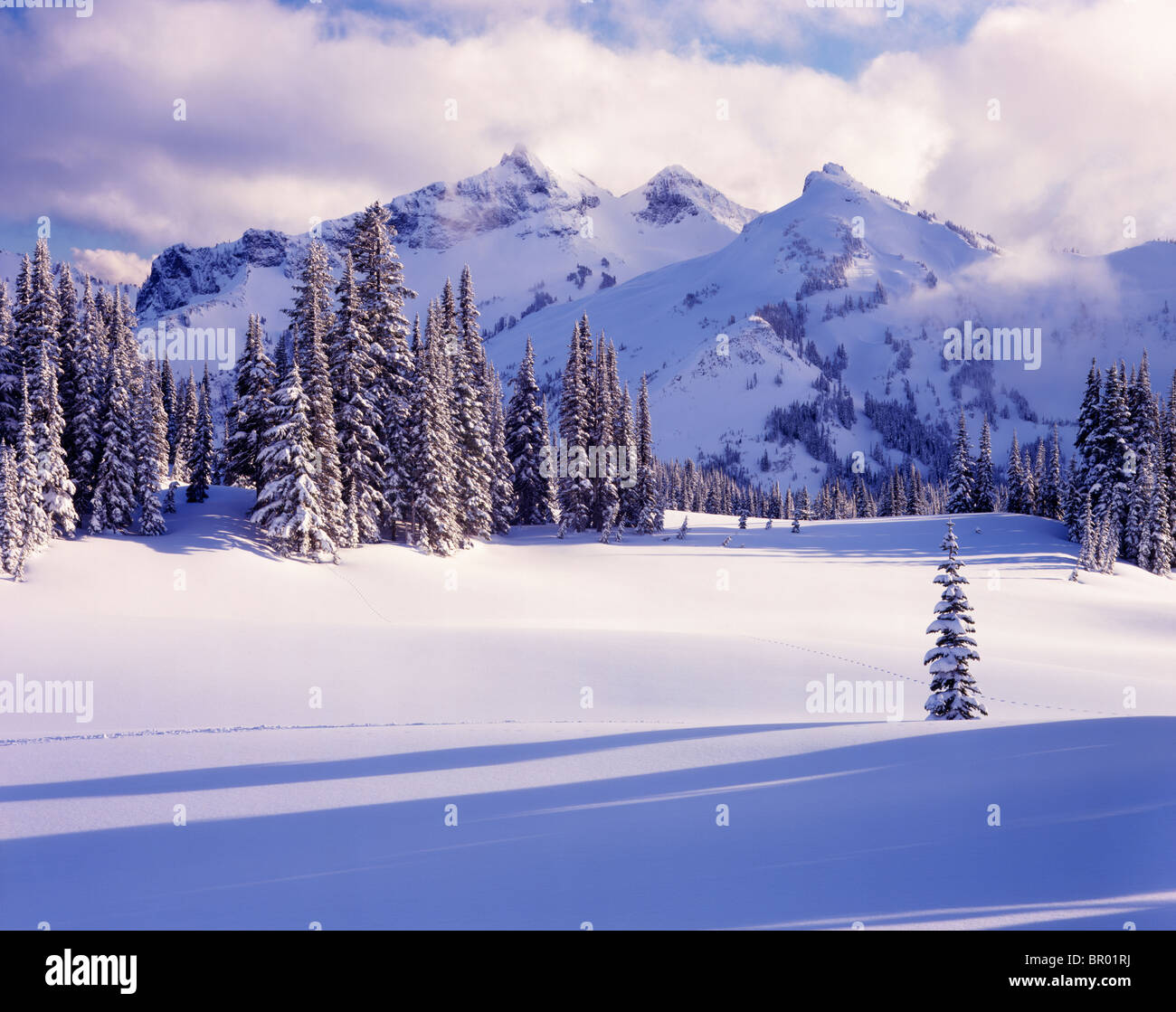 Tatoosh Range in winter, Mount Rainier National Park Washington USA Stock Photo - Alamy