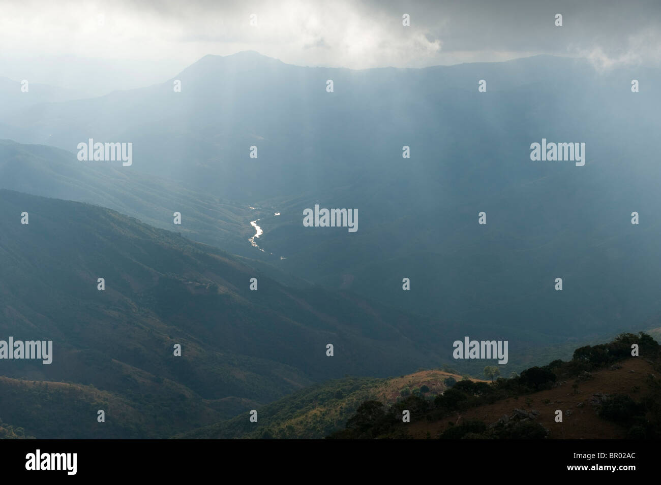 Misuku Hills, Mughese forest reserve, Malawi Stock Photo - Alamy