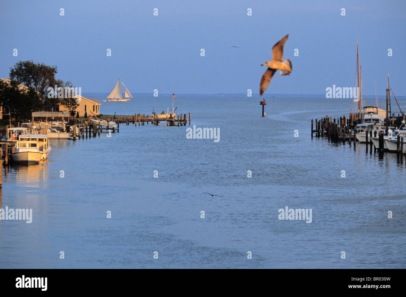 Chesapeake bay maryland skipjack hi-res stock photography and images ...
