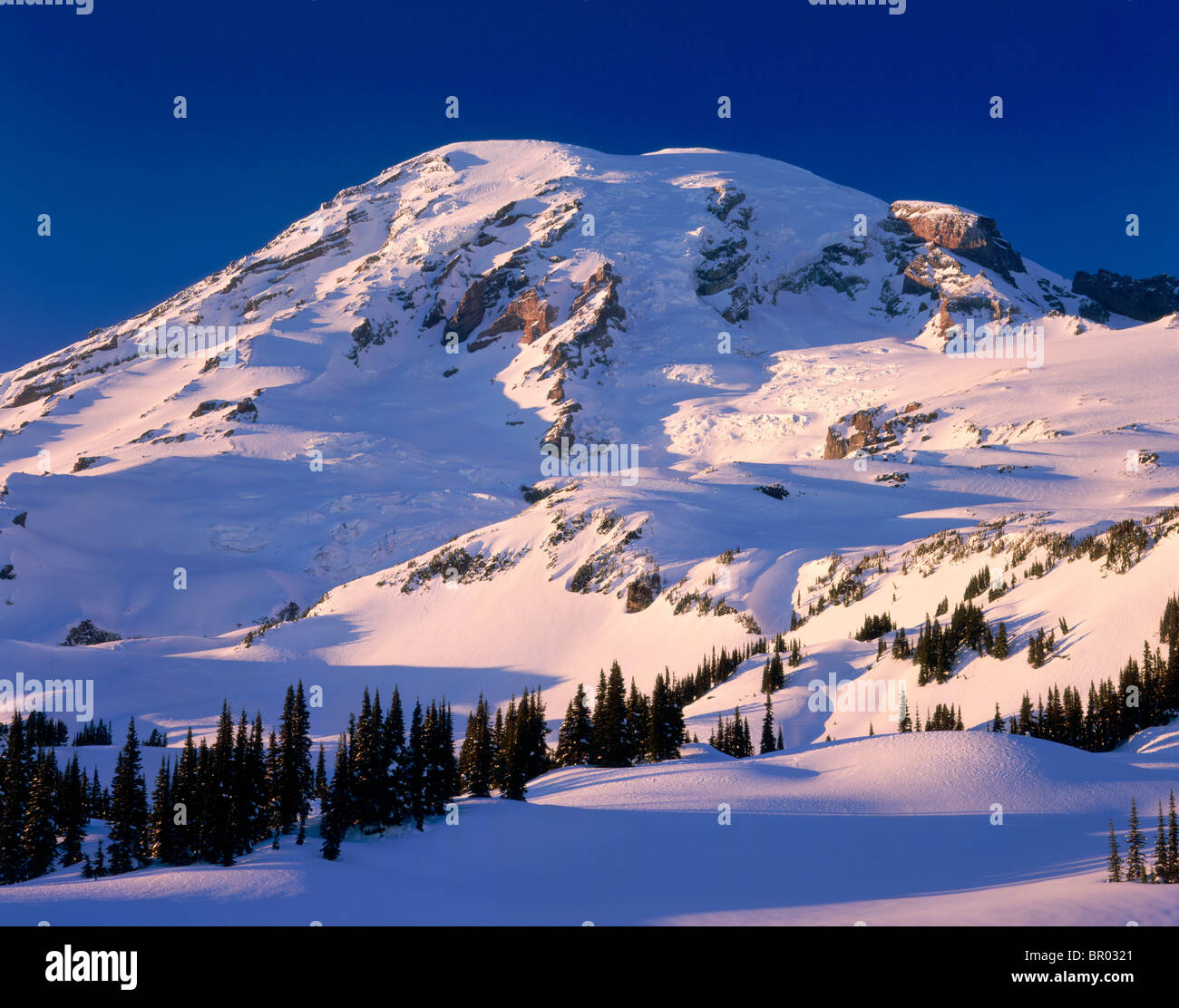 Mount Rainier in winter from Mazama Ridge, Mount Rainier National Park ...